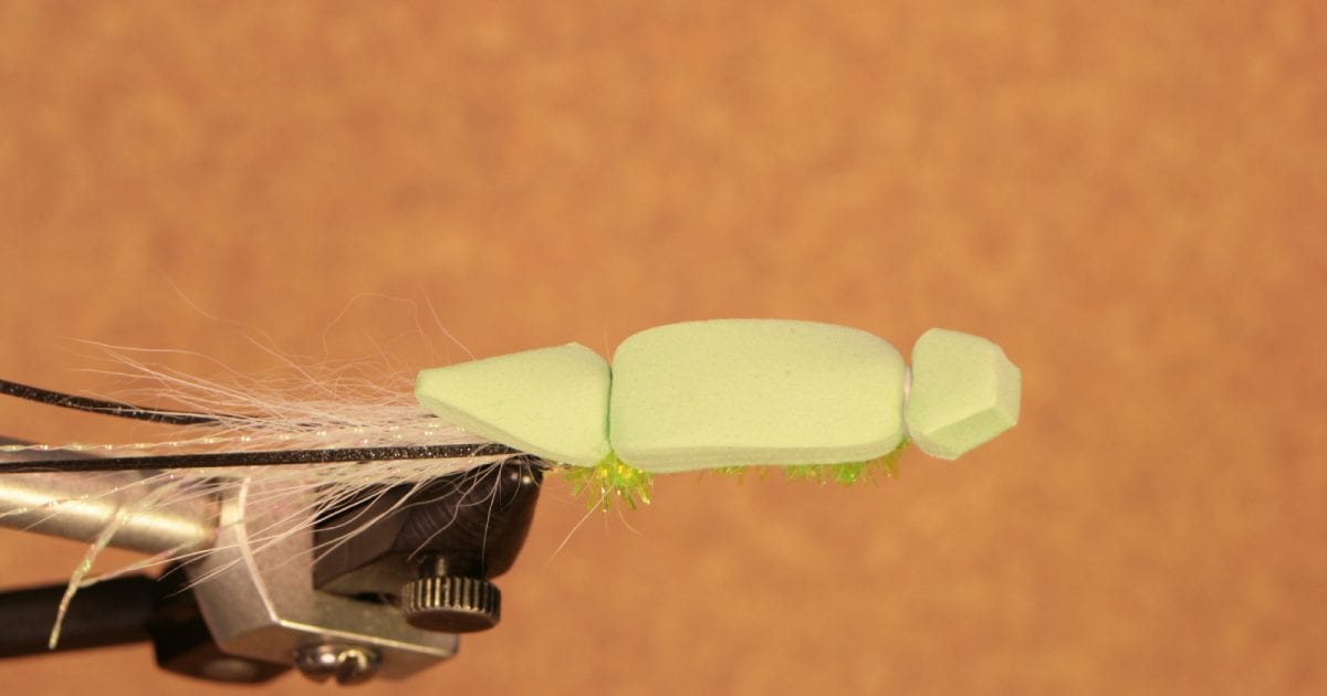 Austin Fly Fishers Association : The Popping Shrimp